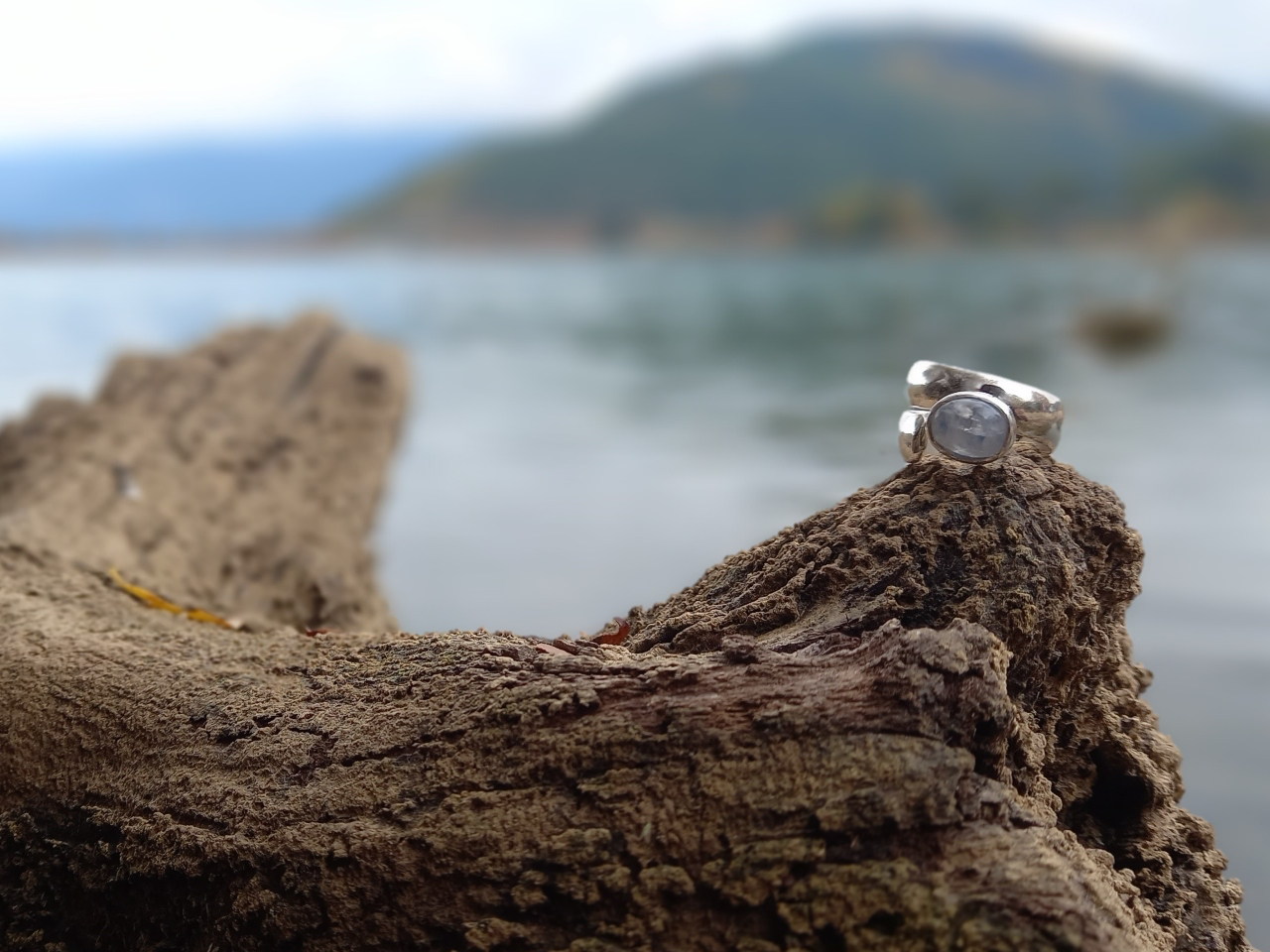 November ring - La JOYa